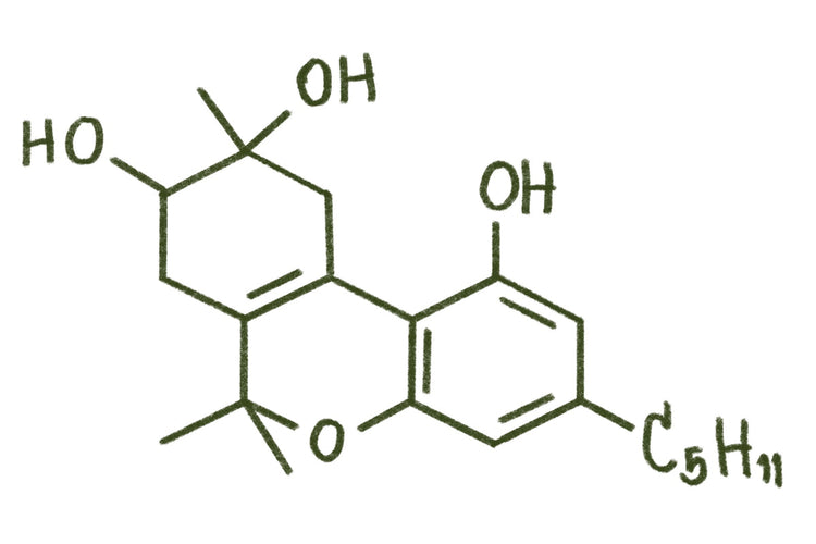 Four Things To Know About Delta-8 – CBD Living